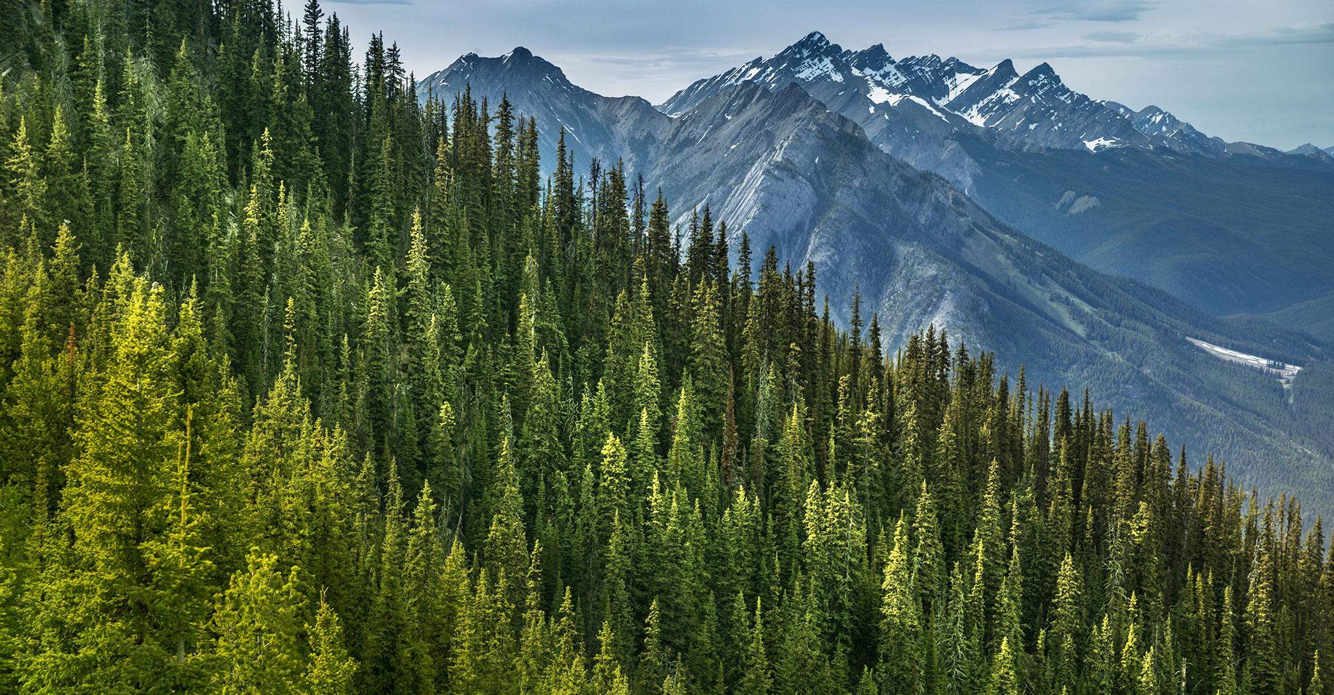 Sprout Fund - Venture and Mentor Capital in Western Canada