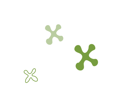 Sproutfund.vc - Team